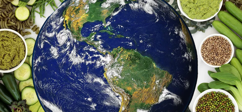 "Planetary Health Diet": Gesundheit für den Planeten und dich! | RADIO ...